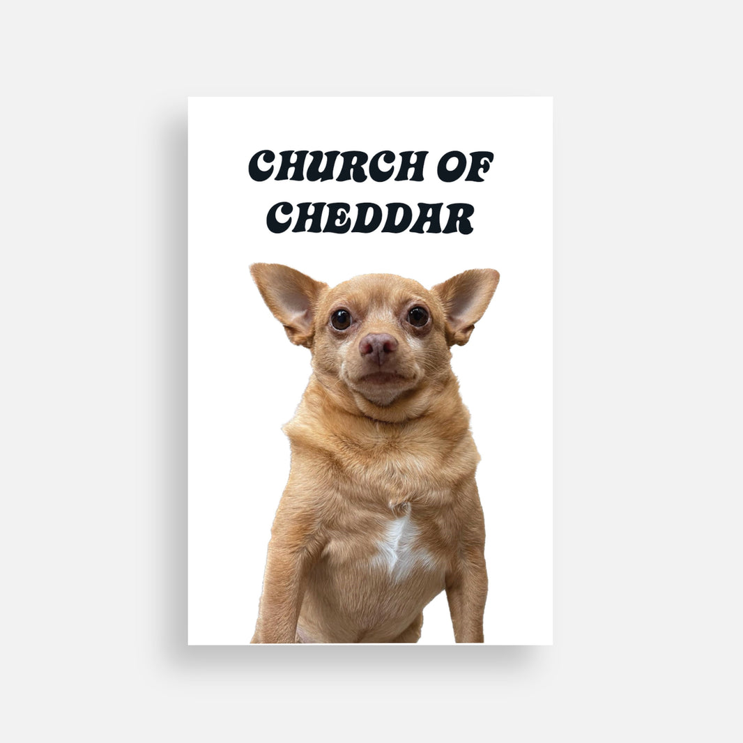 Cheddariniii